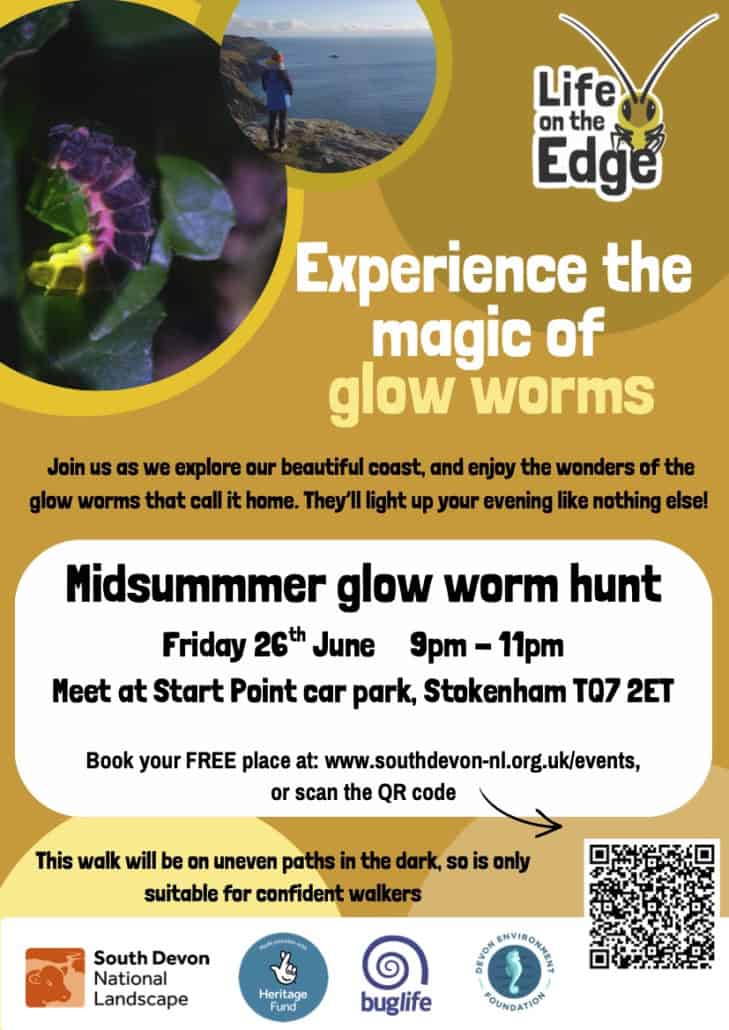 Join the glow worm hunt, Friday 26 June, at Start Point – Stokenham ...